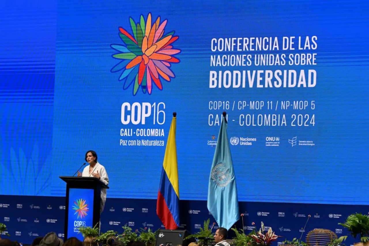 Comienza la COP16 en Cali, evento clave para la preservación de la ...