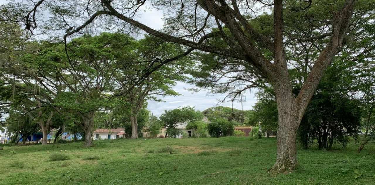 CVC anuncia la construcción de una moderna sede en Cartago para 2026 ...