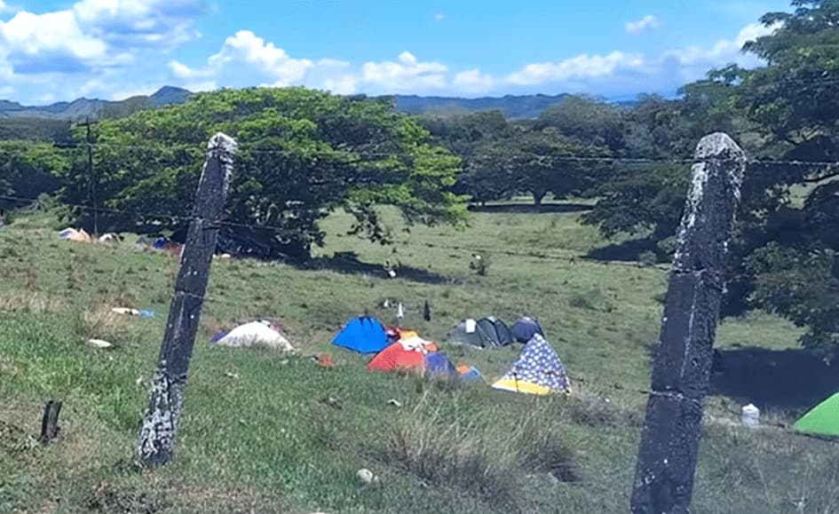 Ocupación en Zarzal: Minga de Cali toma finca asignada por la Agencia ...